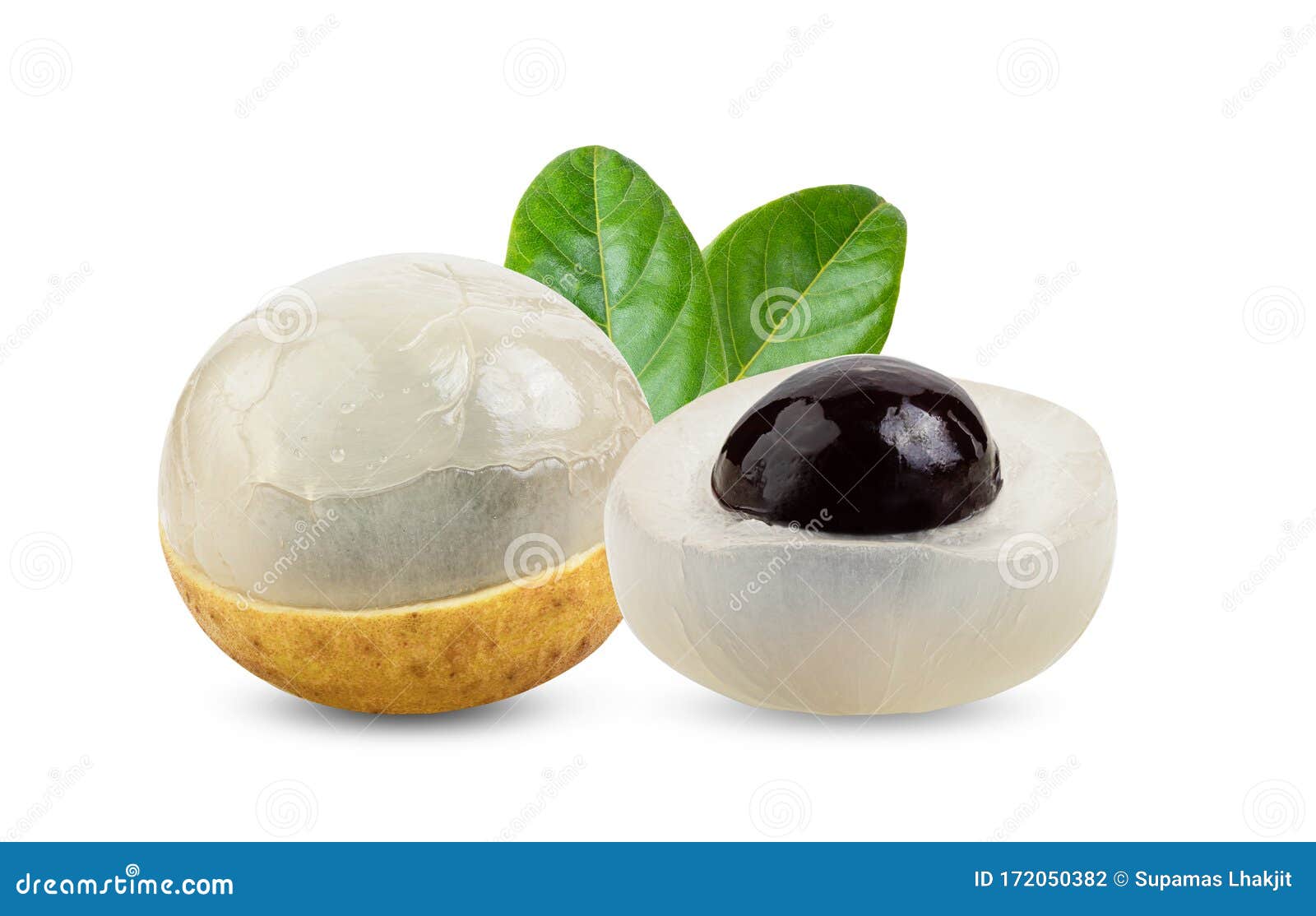 Longan with Leaf Isolated on White Stock Photo - Image of tropical ...