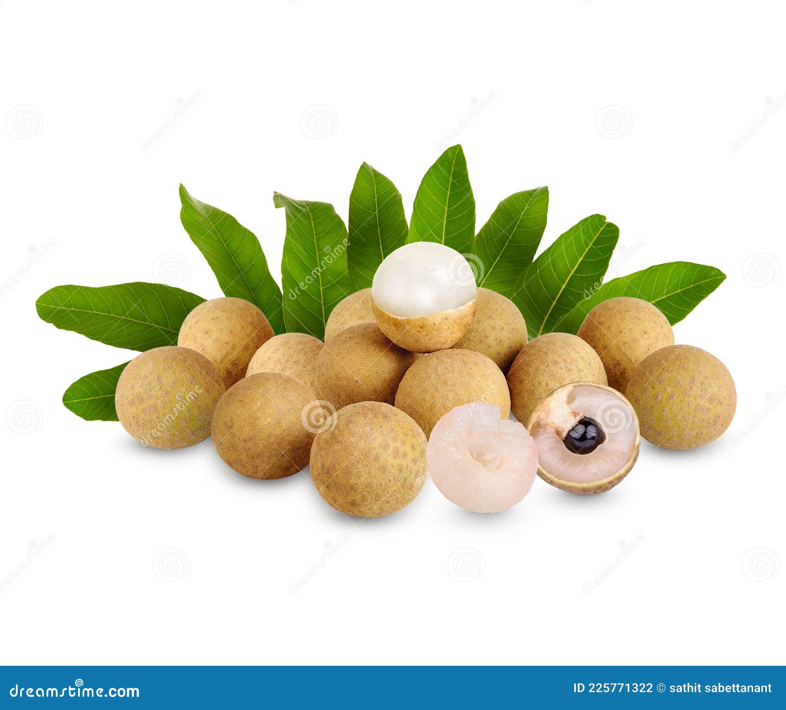 Longan with Leaves Isolated on White Background Stock Photo - Image of ...