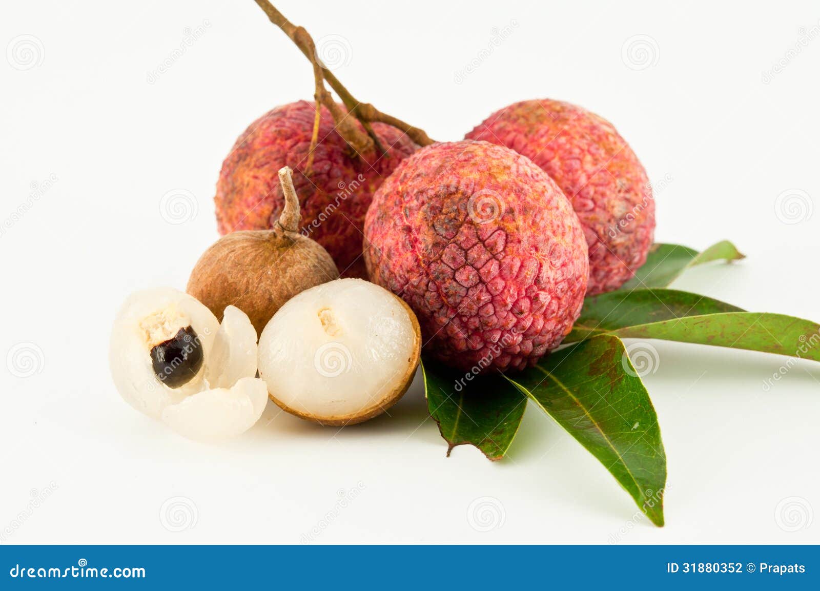 Longan and litchi stock photo. Image of herbology, herbal - 31880352