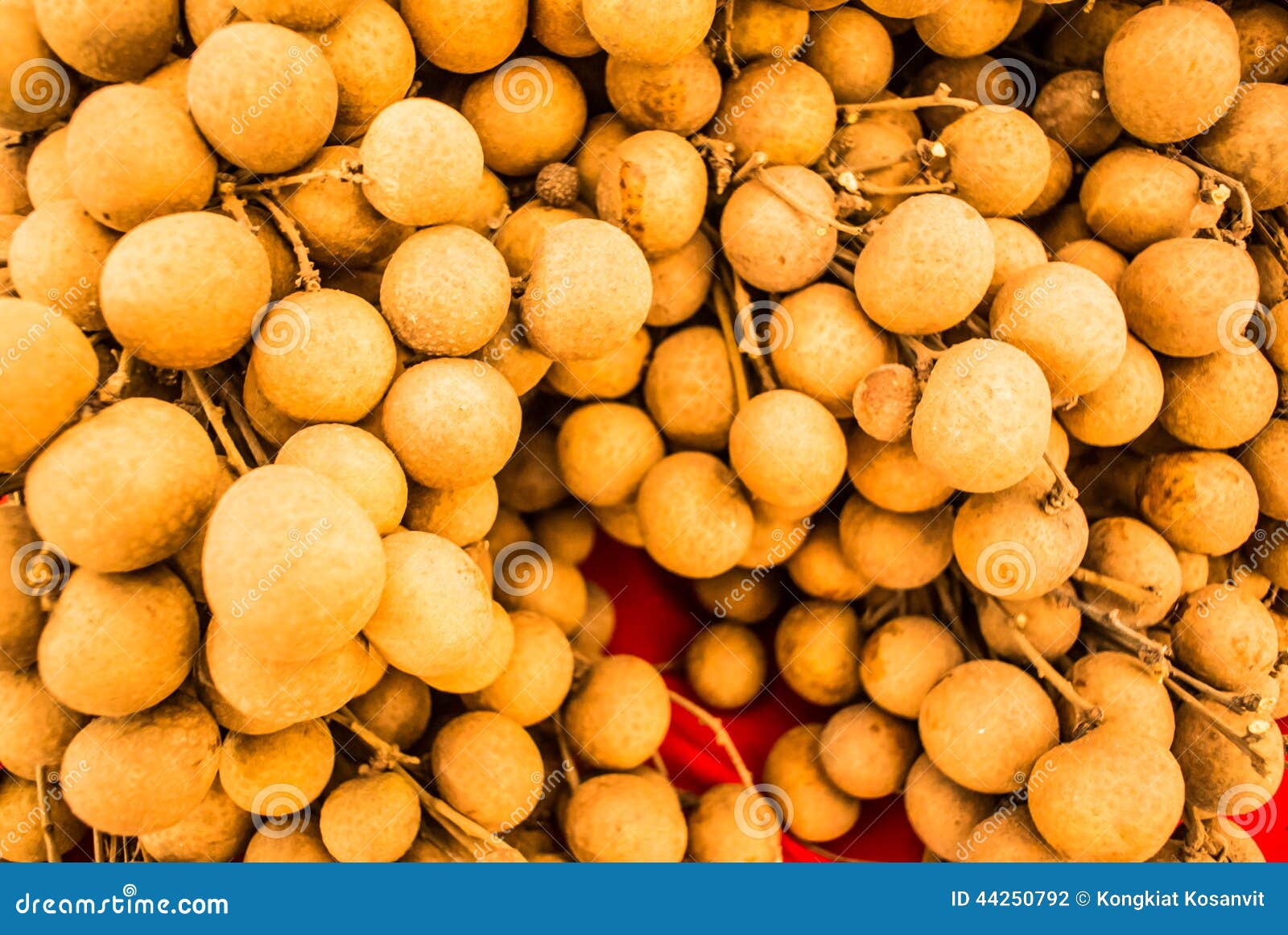 Longan stock photo. Image of grown, cultivation, logan - 44250792
