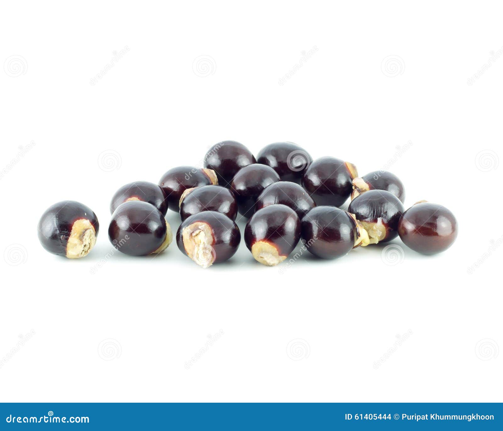 Longan seed. fresh longan stock photo. Image of tasty - 61405444