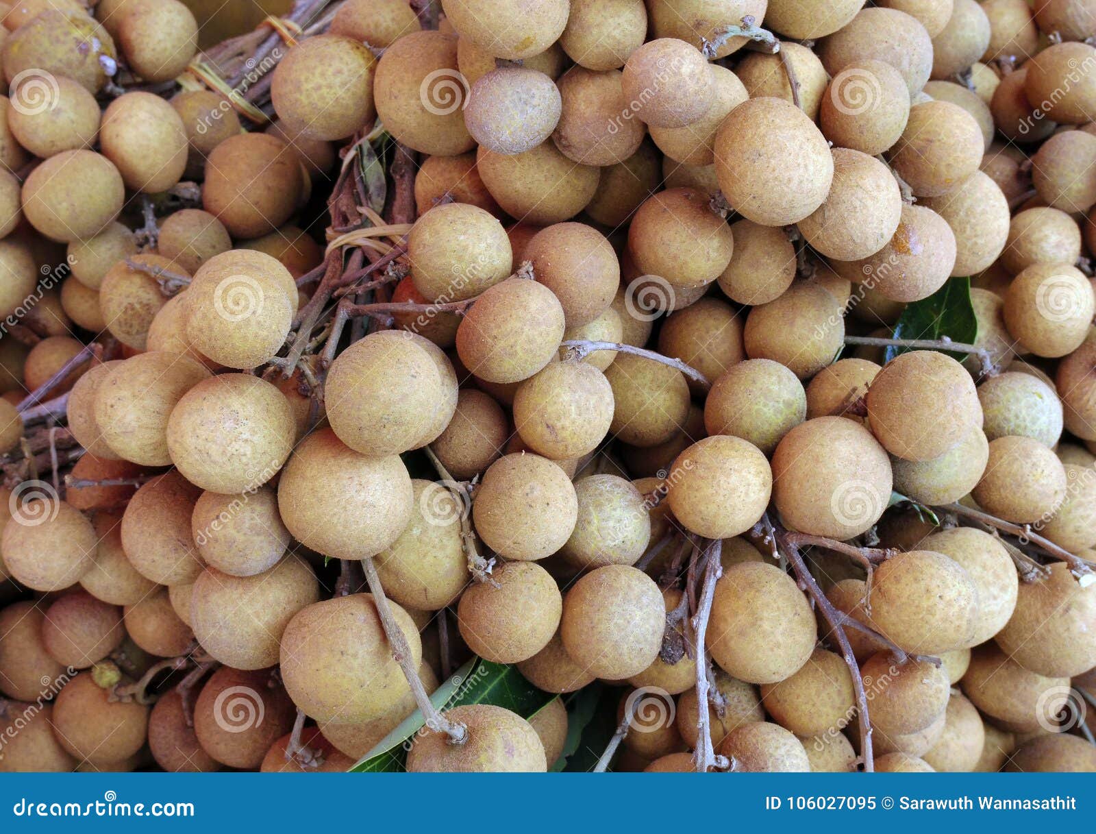Longan sweet fruit stock image. Image of chinese, juicy - 106027095