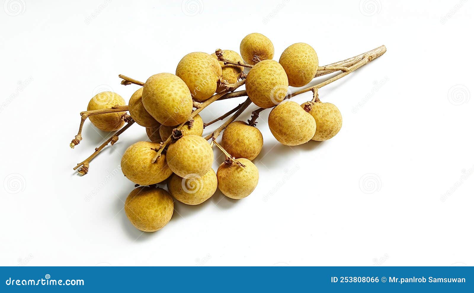 Longan is Sweet on a White Background. Stock Photo - Image of tree ...