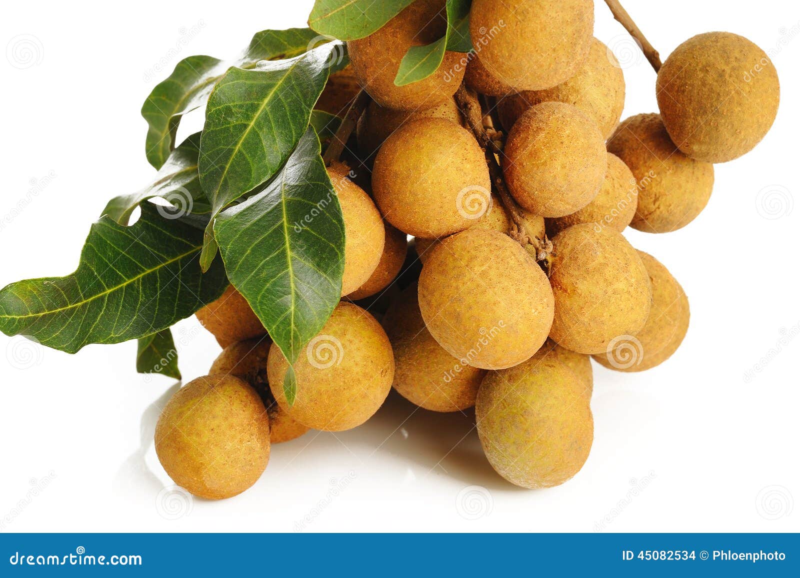 Longan stock photo. Image of delicious, longan, yellow - 45082534
