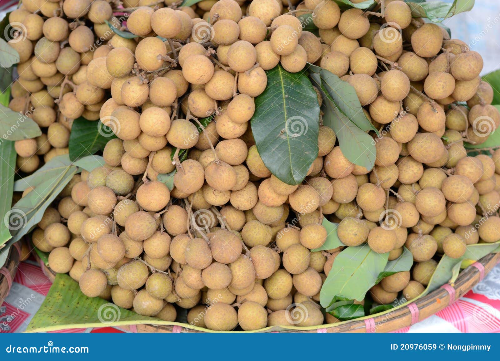 Longans stock image. Image of food, freshness, sweet - 20976059