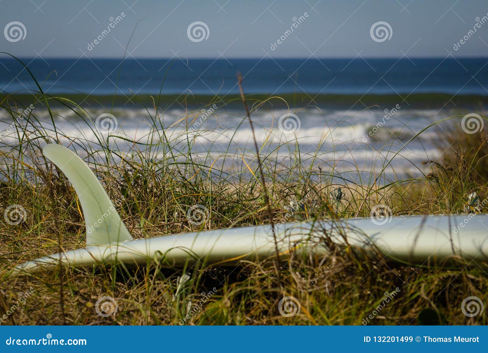 Longboard in Front of Ocean Stock Image - Image of surfer, surf: 132201499