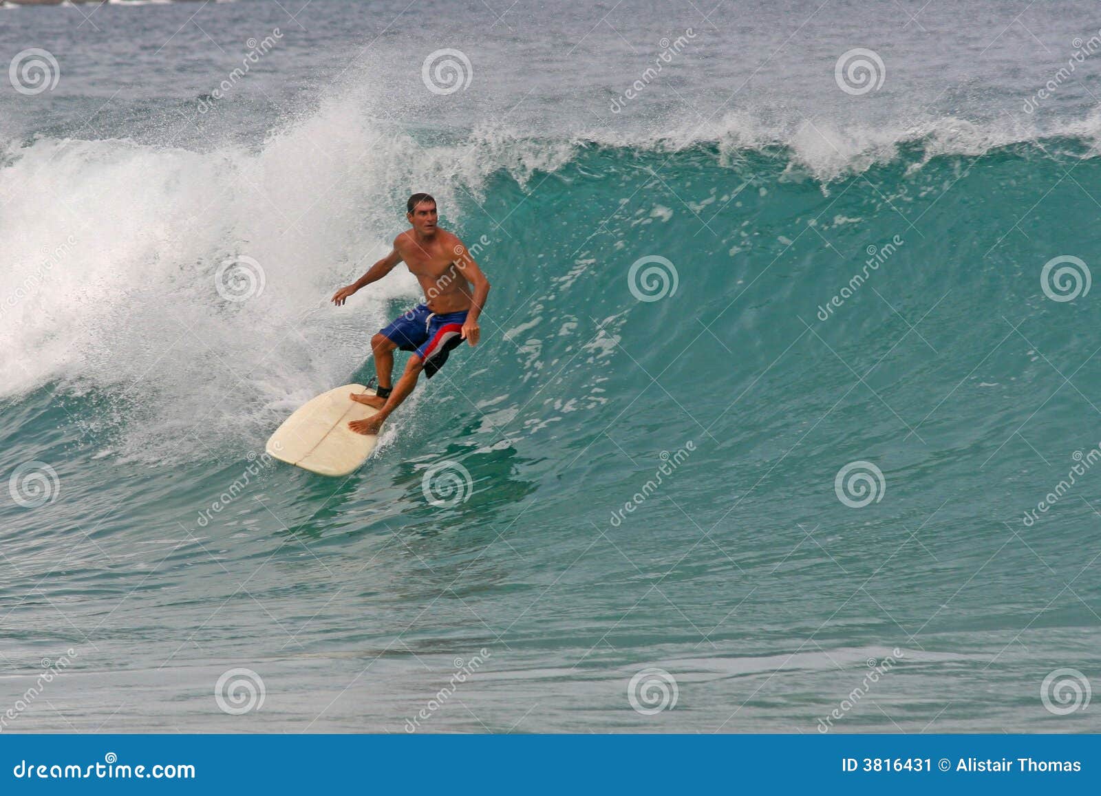 Longboarder stock image. Image of breaking, surfboard - 3816431