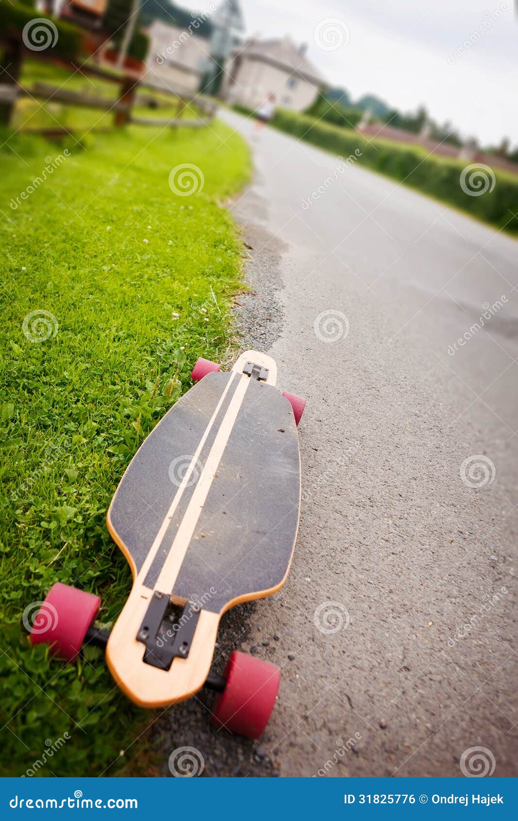 Longboarding stock photo. Image of sport, nature, skating - 31825776