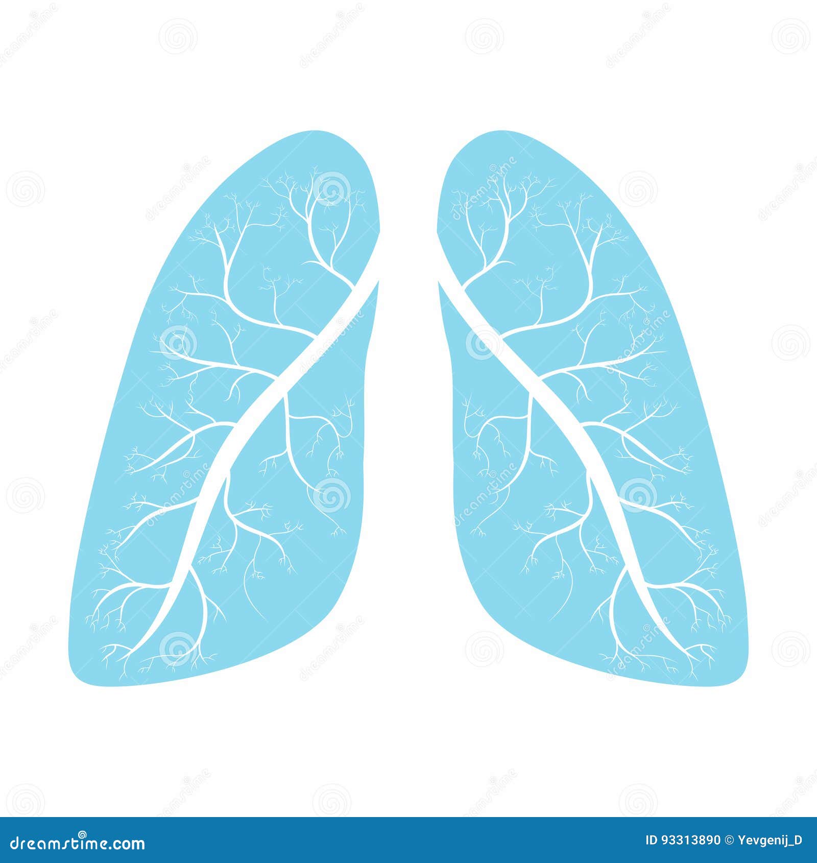 Longen Het Menselijke Symbool Van De Longenanatomie Vector Illustratie ...