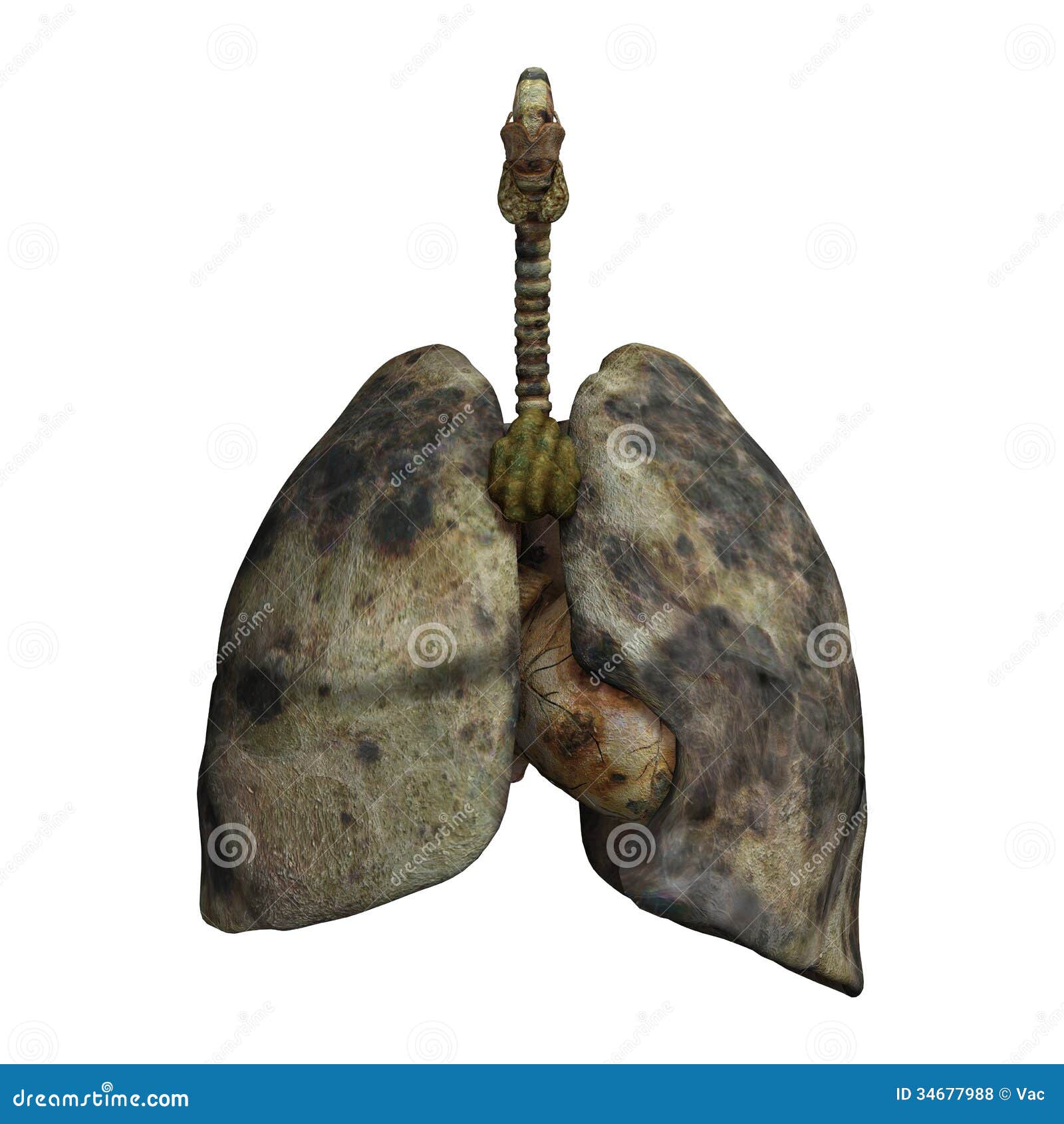 Longen van Rokers stock illustratie. Illustration of begrip - 34677988