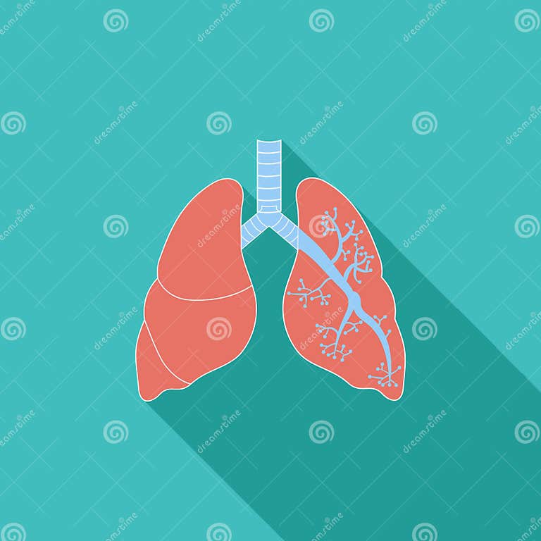 Longen in Zwart-wit vector illustratie. Illustration of ziekte - 89292901