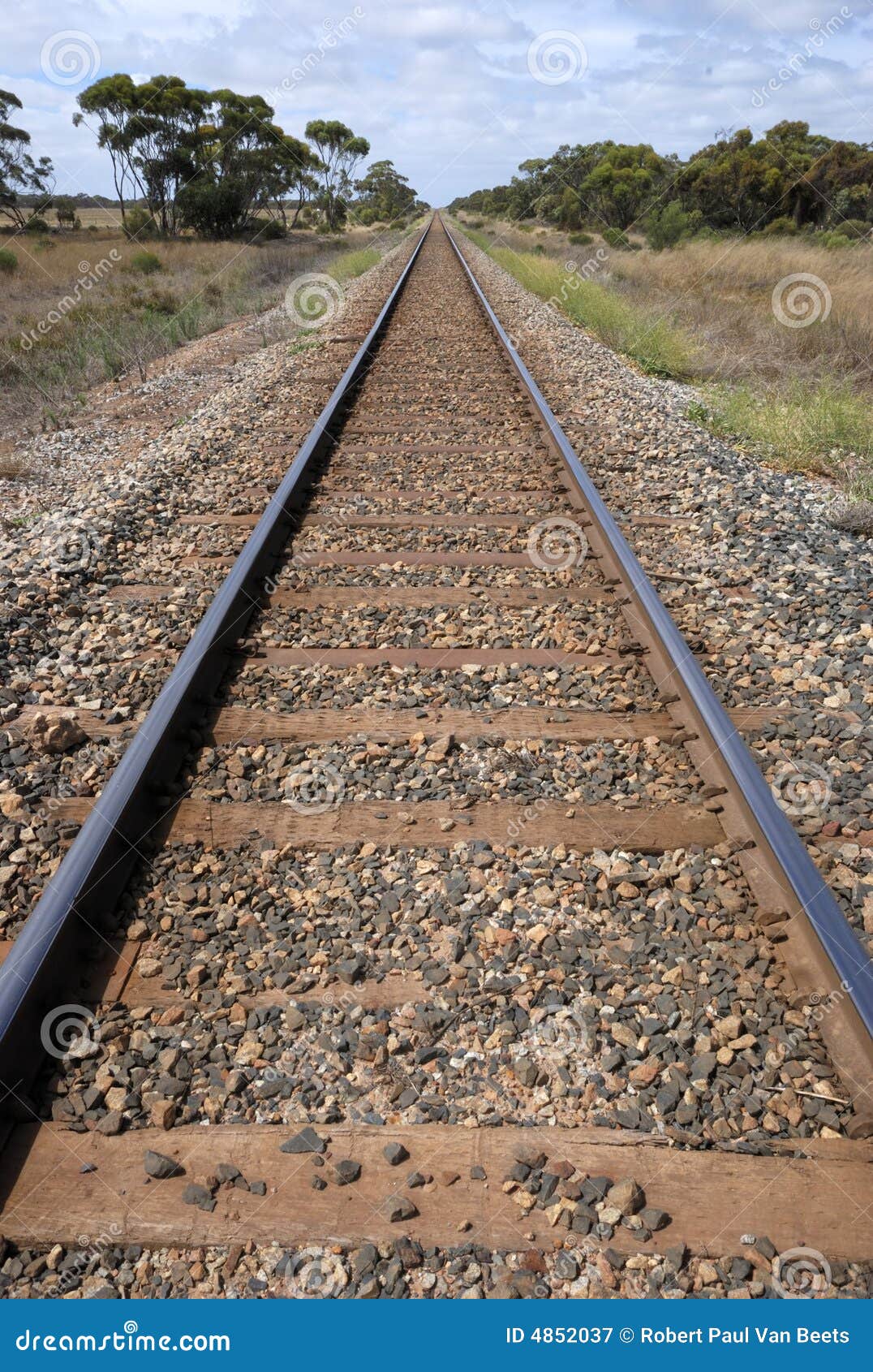 Longerons de train image stock. Image du route, contexte - 4852037