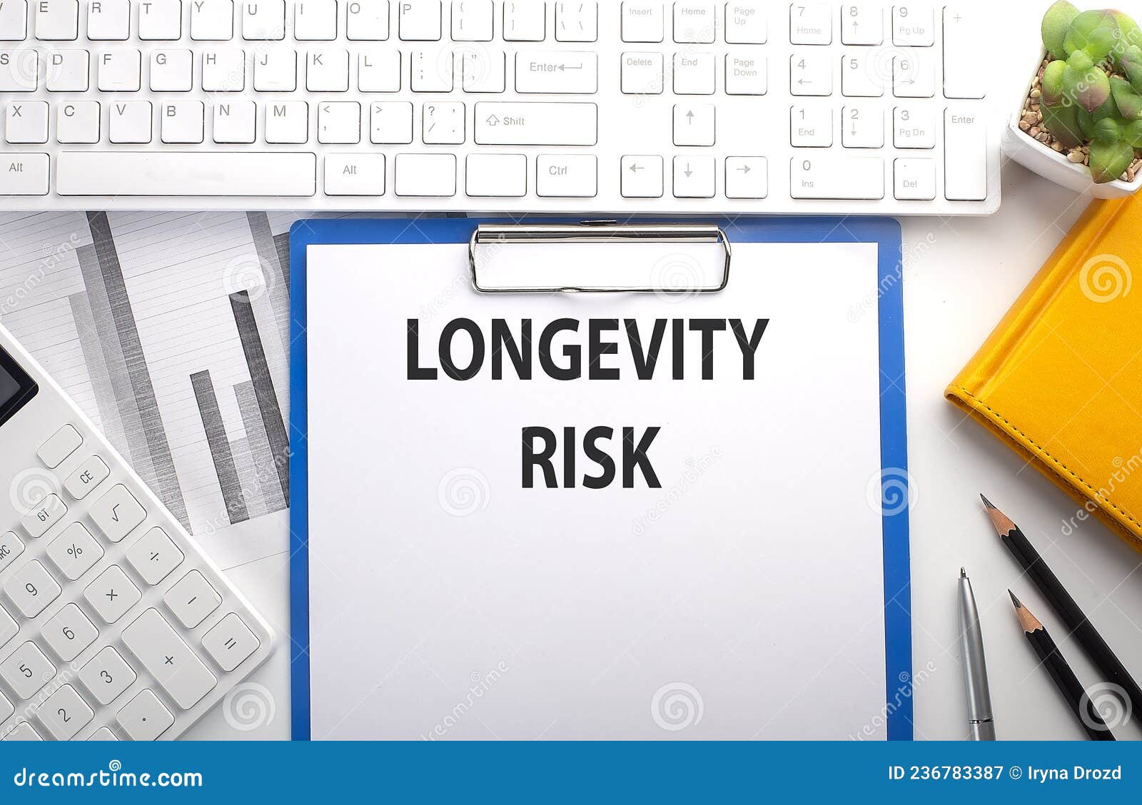 LONGEVITY RISK Written on Paper with Keyboard, Chart, Calculator and ...