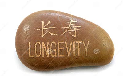Longevity stone stock image. Image of pebble, brown, written - 10850753