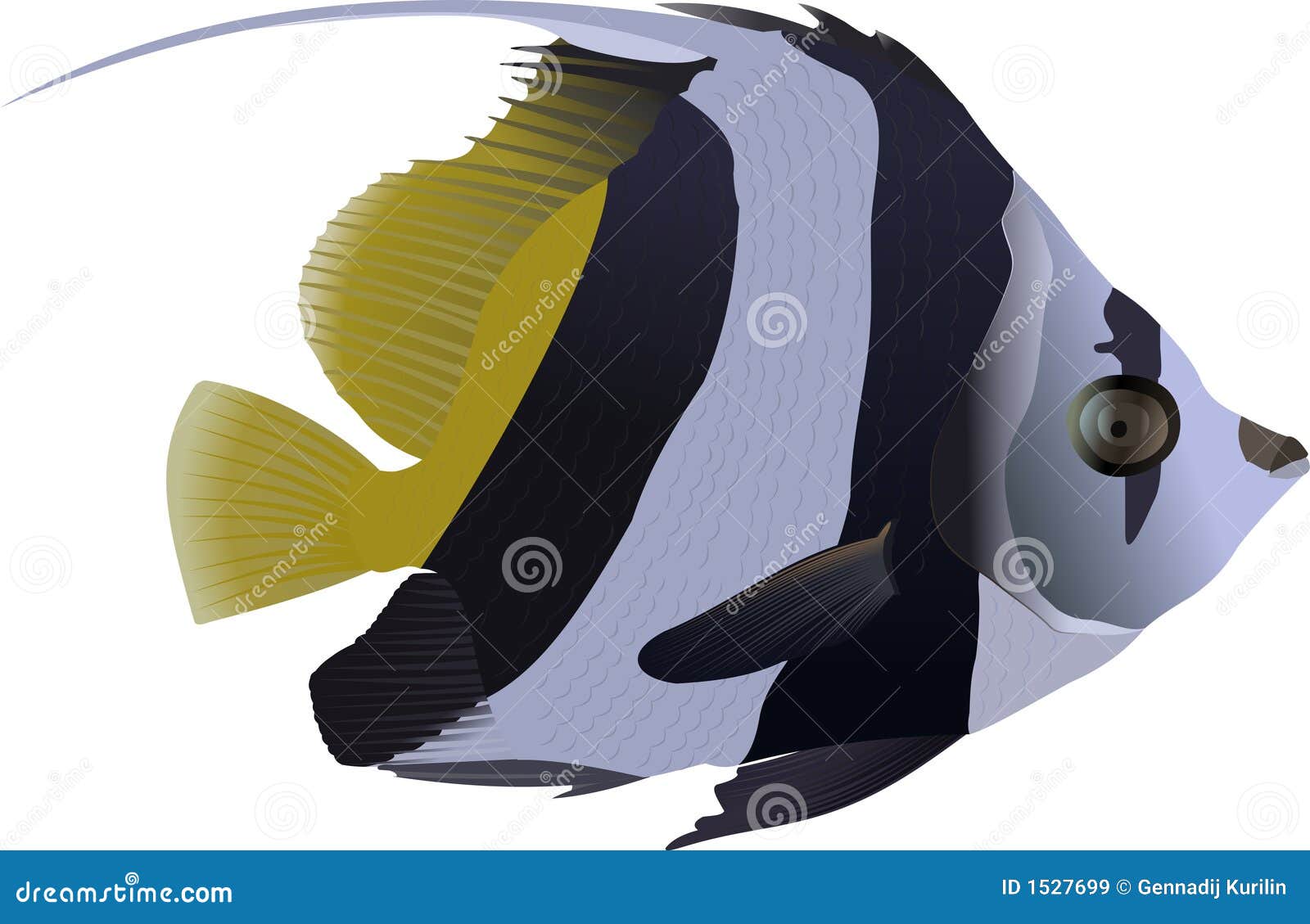 Longfin Bannerfish Cartoon Vector | CartoonDealer.com #1527699