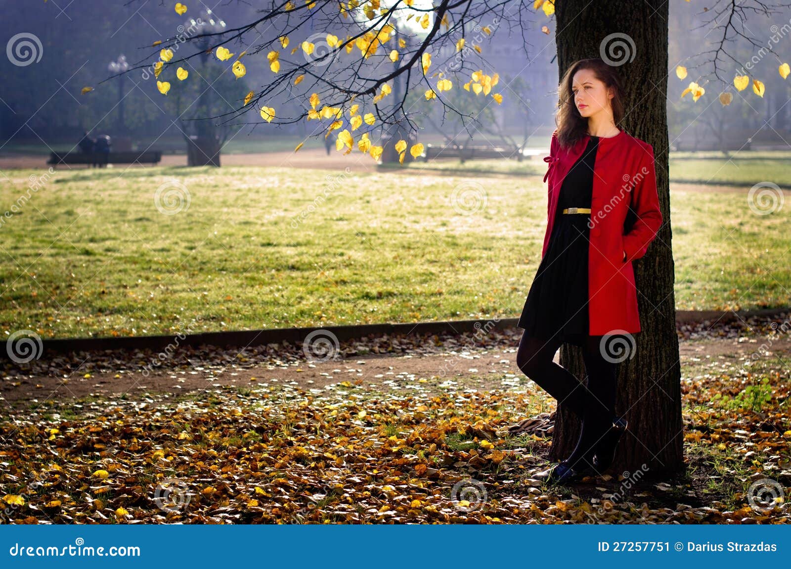 Longing of the fall stock image. Image of beauty, adult - 27257751