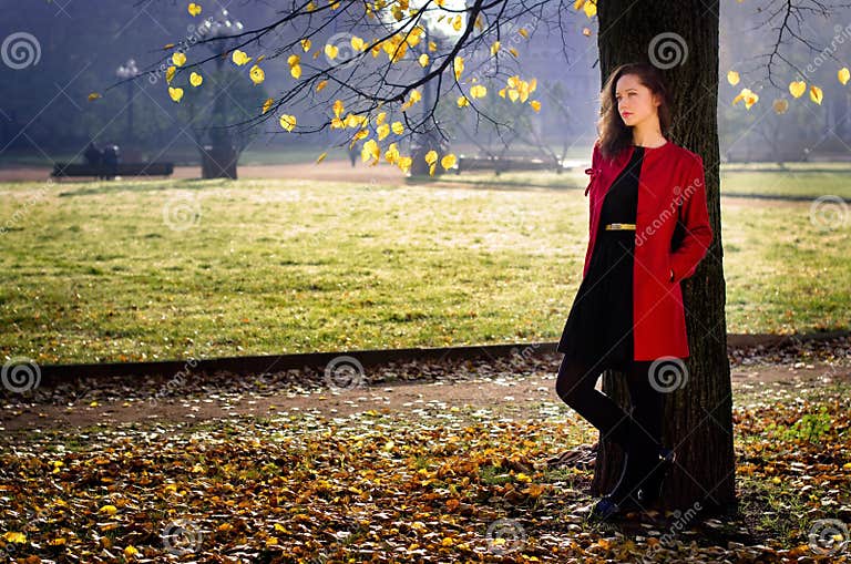Longing of the fall stock image. Image of beauty, adult - 27257751