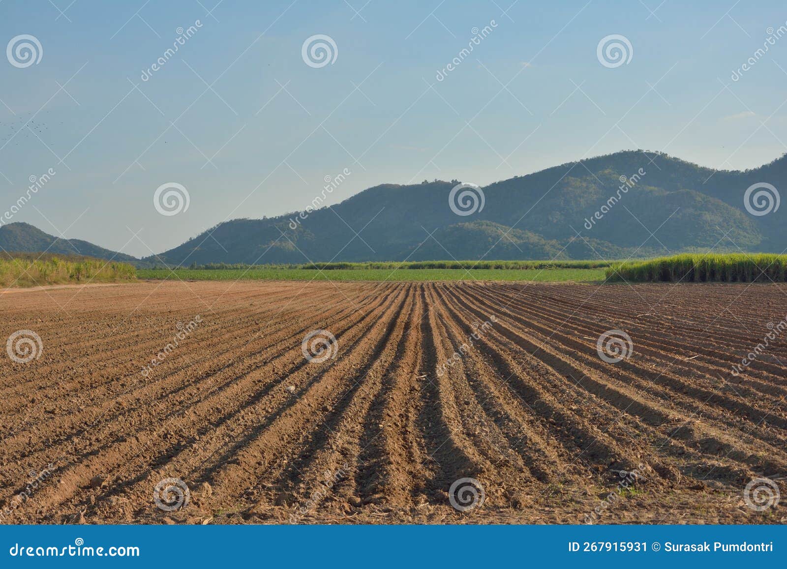 Longitudinal Ditch for Agriculture with Mountains in the Background ...