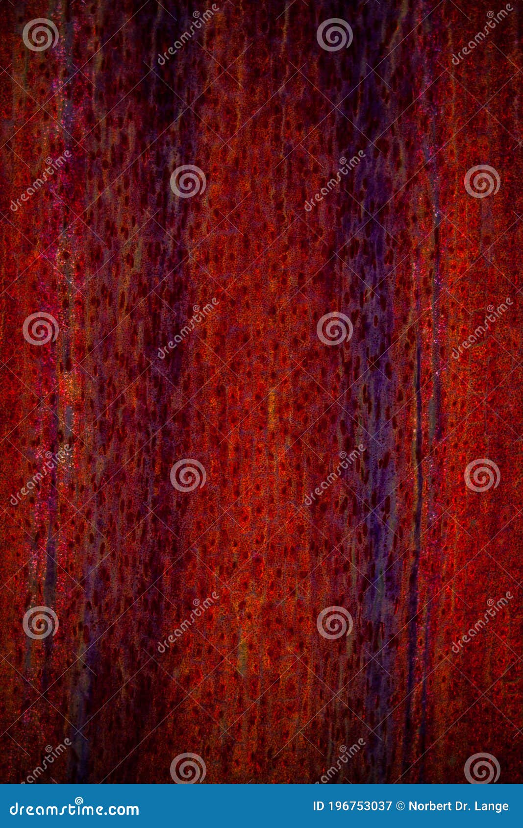 Longitudinal Section of Pine Wood Stock Image - Image of wood, macro ...