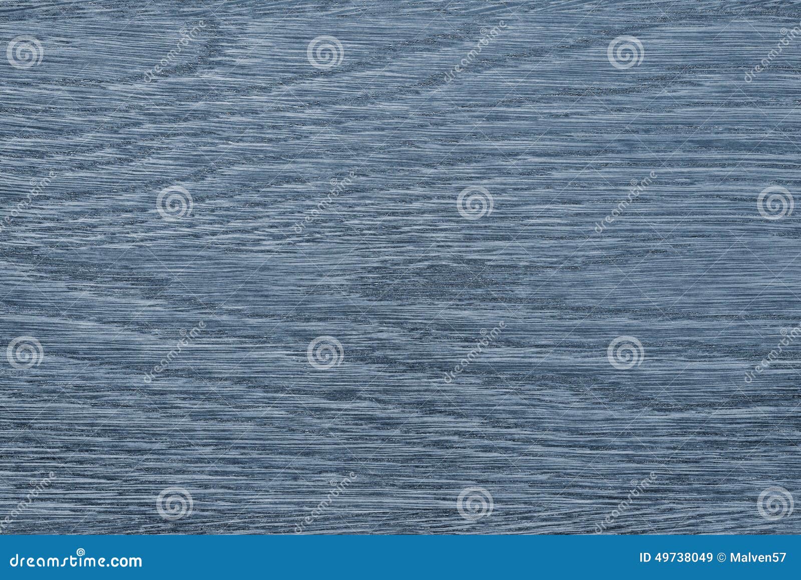 Longitudinal Section Tree of Selenium Color Stock Image - Image of ...