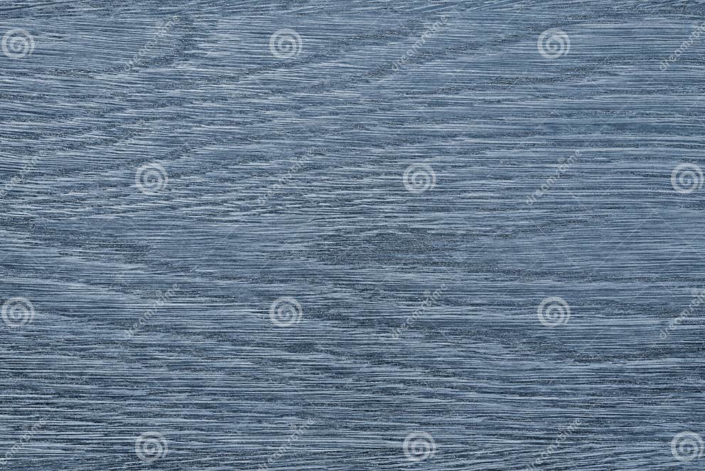 Longitudinal Section Tree of Selenium Color Stock Image - Image of ...