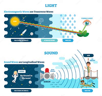 Longitudinal and Transverse Wave Type, Vector Illustration Scientific ...