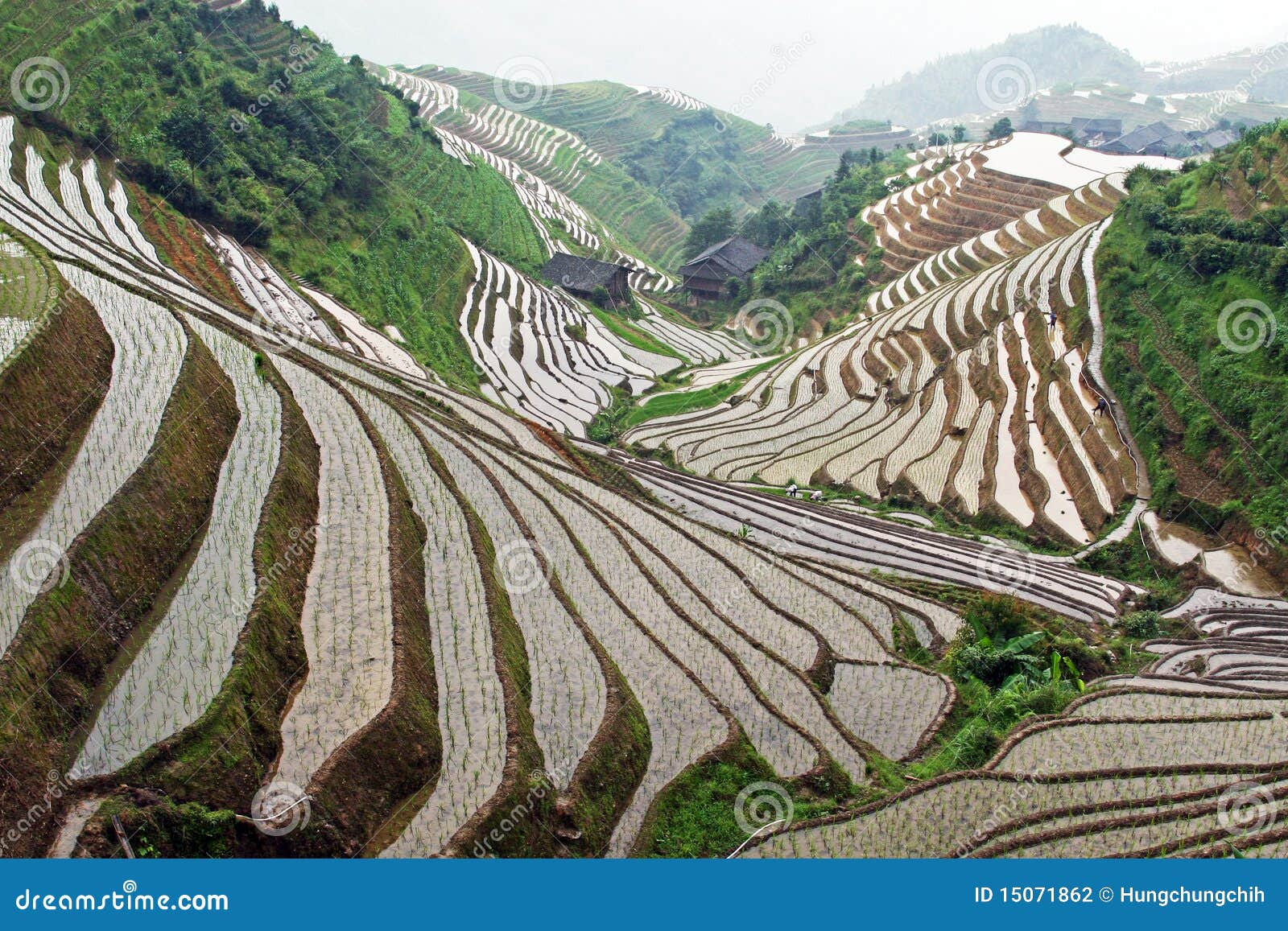 Longji rice terraces stock photo. Image of farm, beautiful - 15071862