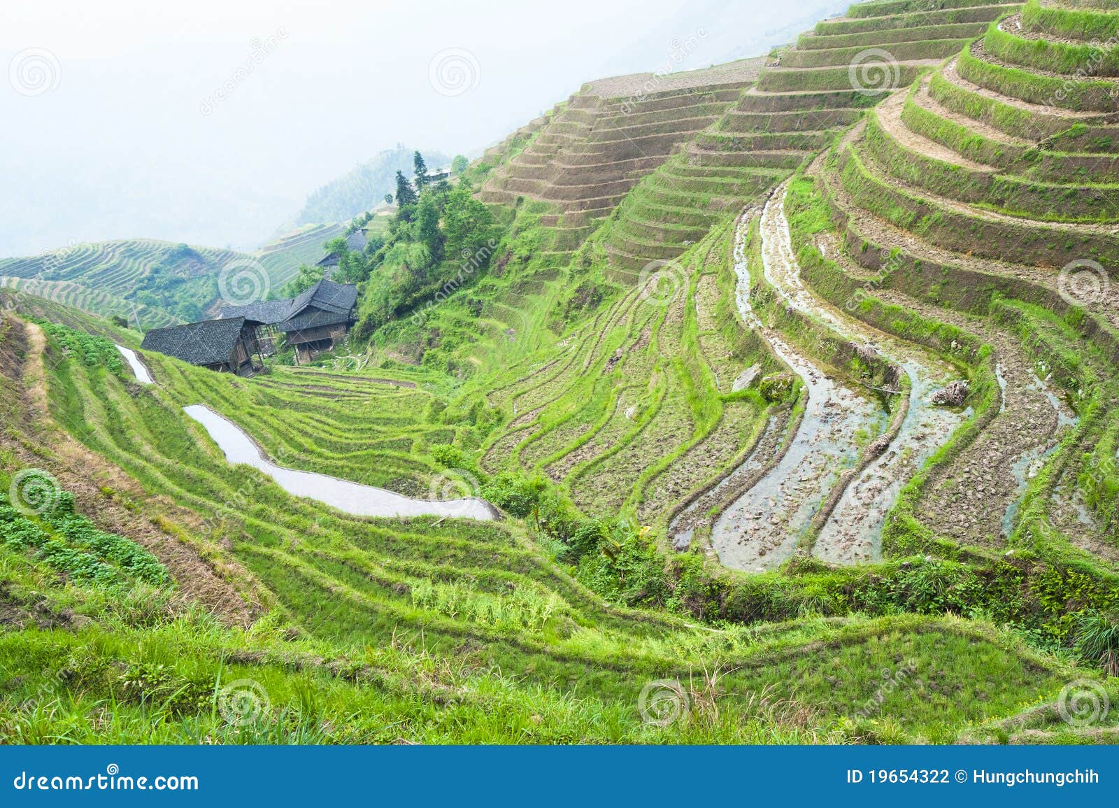 Longji rice terraces stock photo. Image of ethnic, asian - 19654322