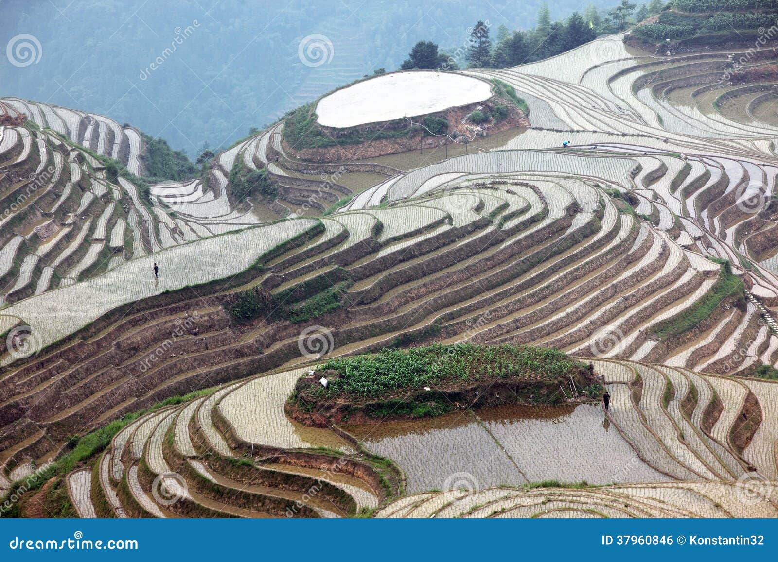 Longji Rice Terraces, China Stock Photo - Image of land, farm: 37960846