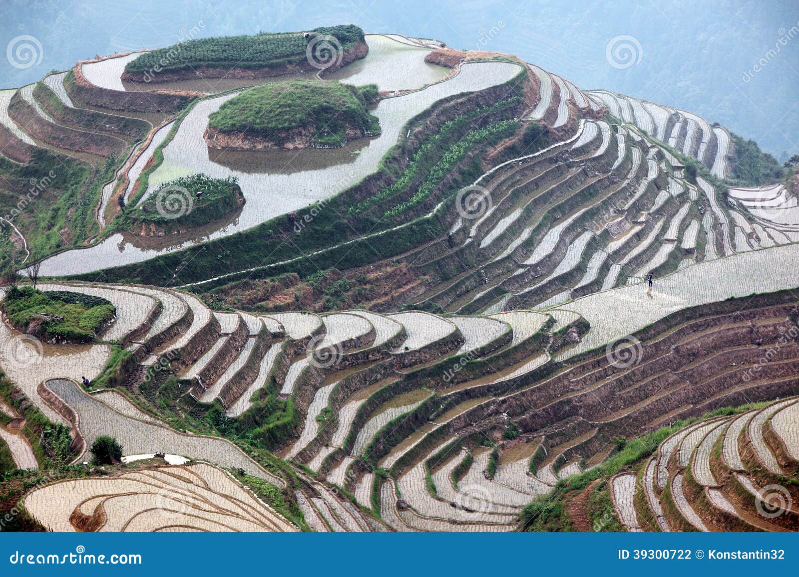 Longji Rice Terraces, China Stock Photo - Image of china, chinese: 39300722