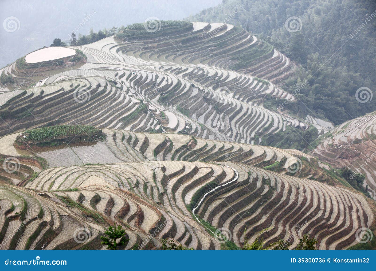 Longji Rice Terraces, China Stock Photo - Image of longji, china: 39300736