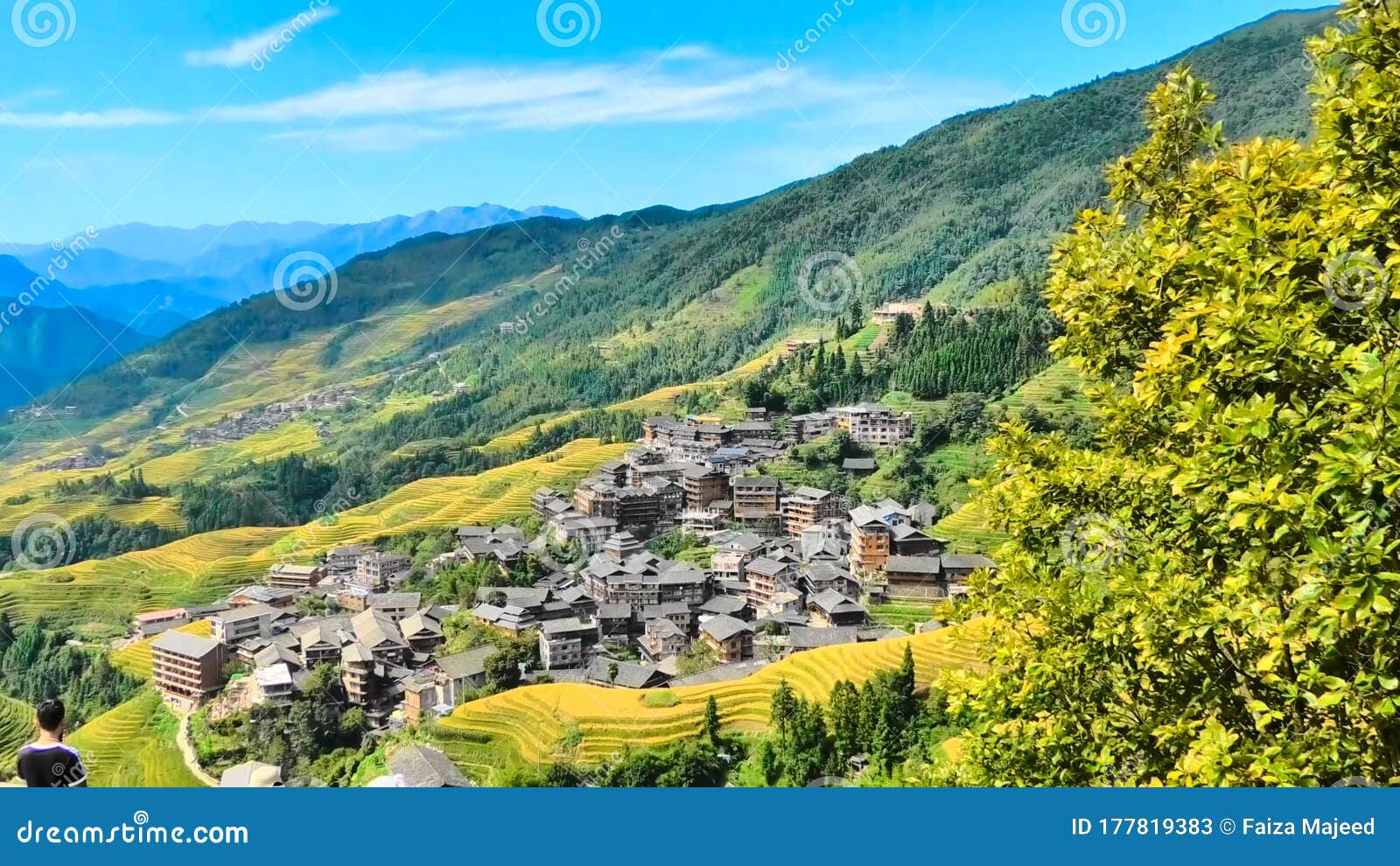 Longji Rice Terraces in China Drone View Stock Image - Image of autumn ...