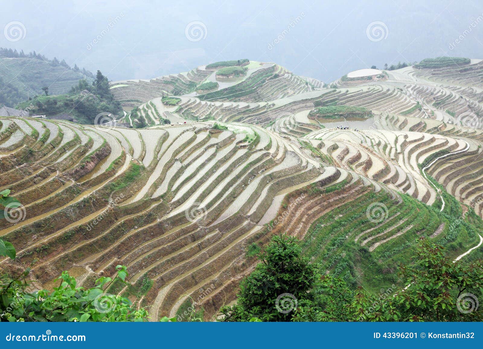 Longji Rice Terraces, China Stock Image - Image of ethnic, beauty: 43396201