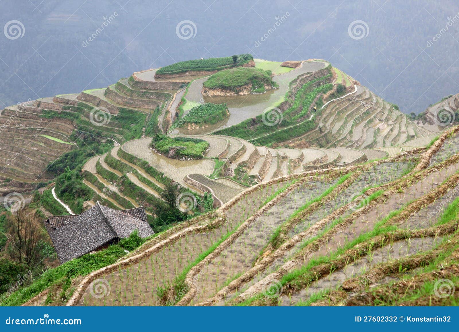 Longji Rice Terraces, Guangxi Province Stock Photo - Image of farm ...
