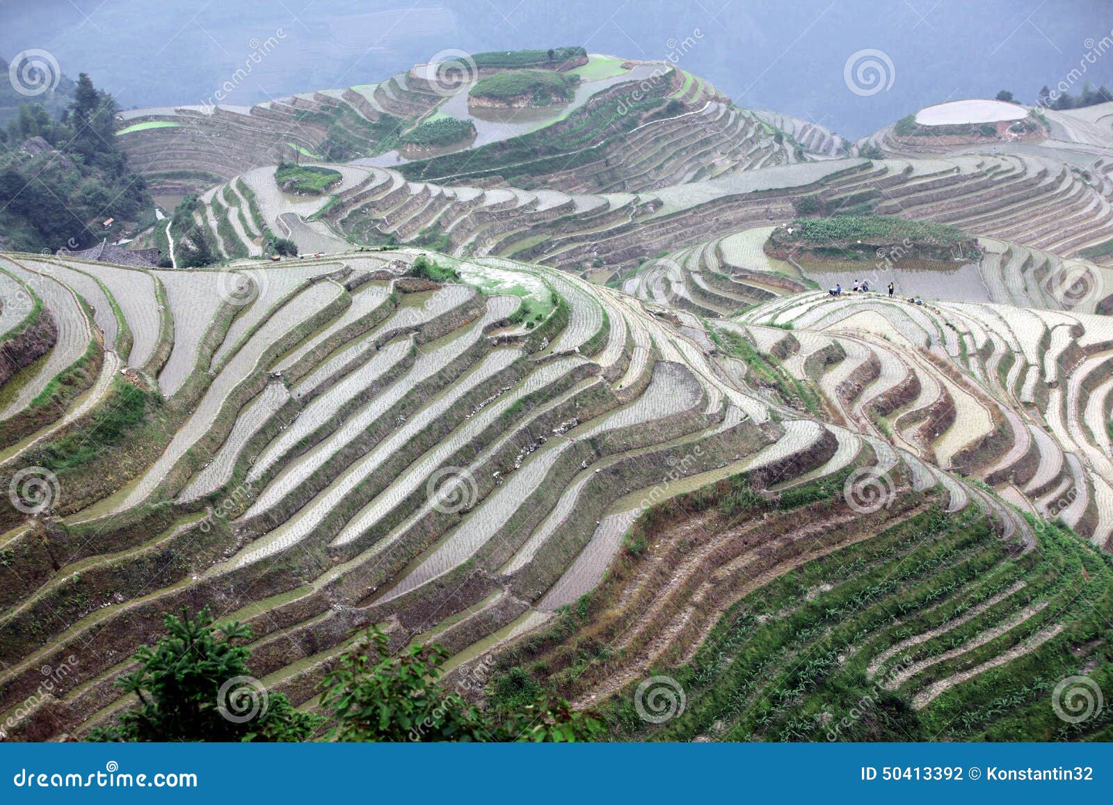 Longji Rice Terraces, Guangxi Province Stock Photo - Image of landscape ...