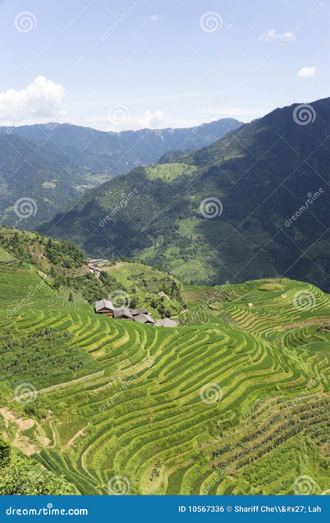 Longji Terraced Rice Fields Stock Photo - Image of farmland, longsheng ...
