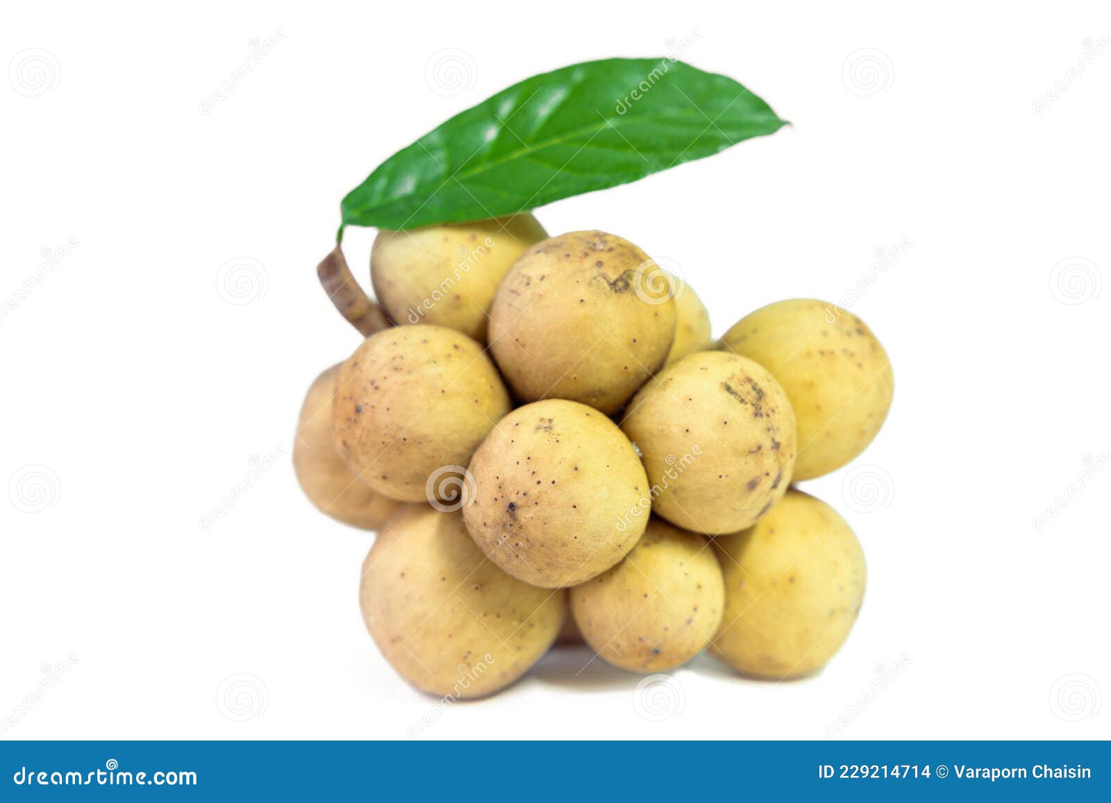 Longkong Fruits Isolated on White Background Stock Photo - Image of ...