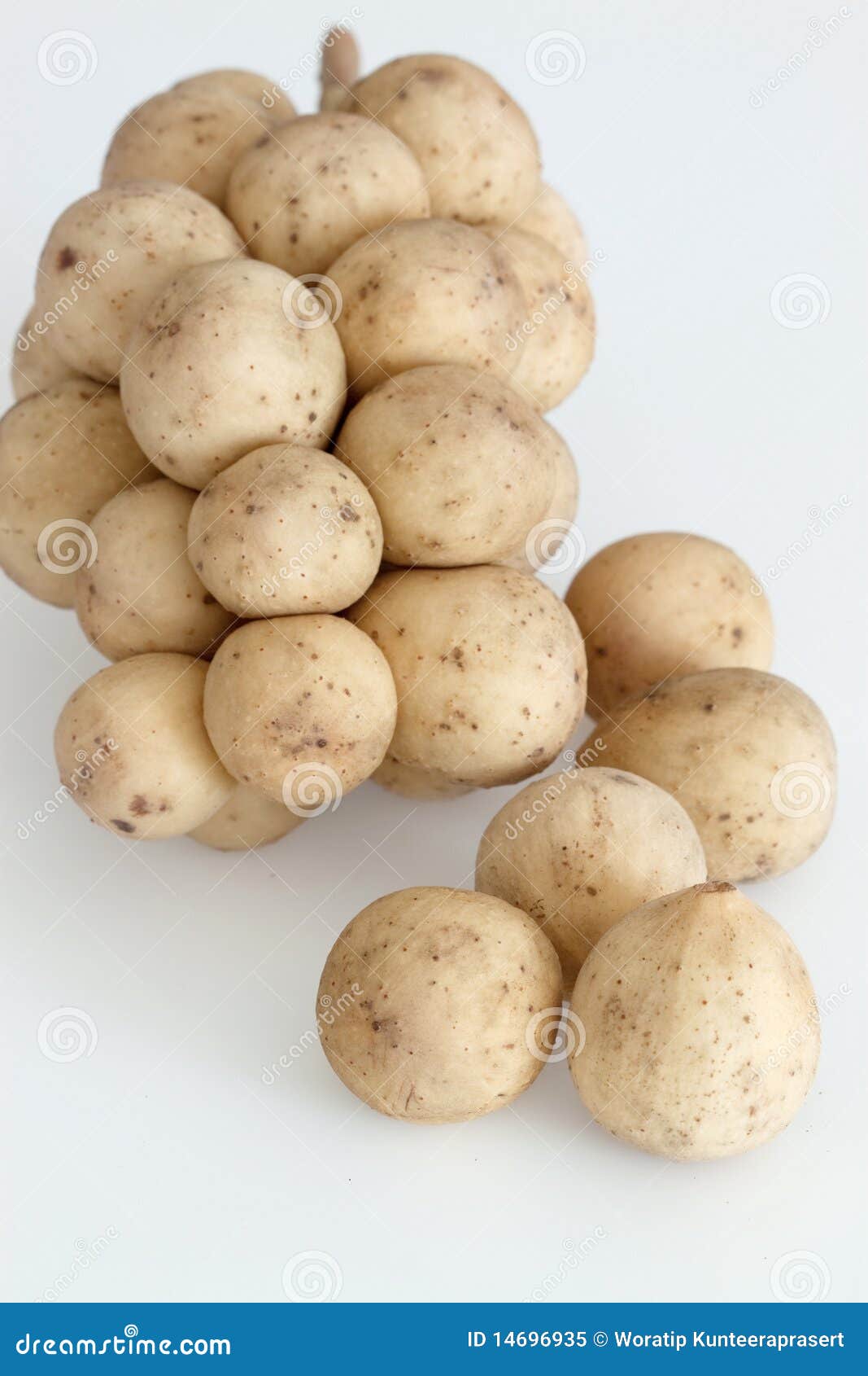 Longkong, langsat, or duku stock image. Image of lansium - 14696935