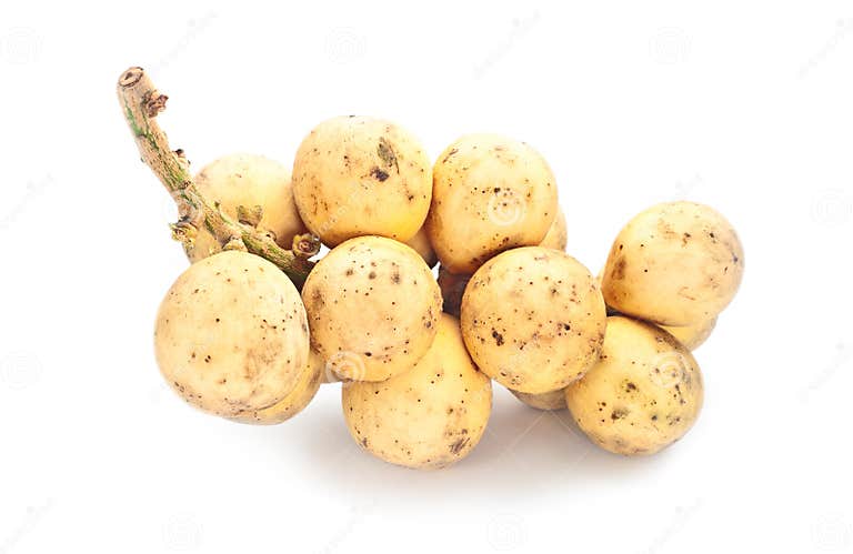 Longkong, Langsat Thai, or Duku Stock Photo - Image of culinary, good ...