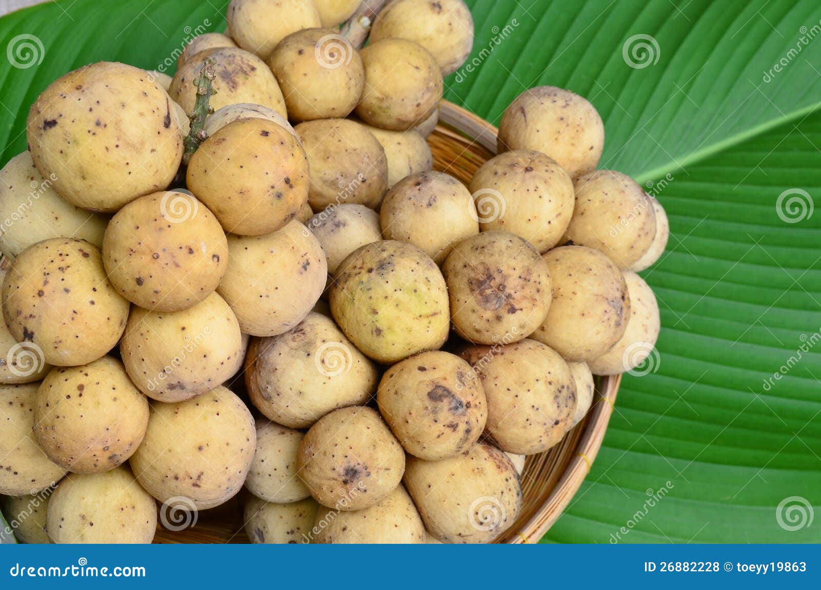 Longkong,Thai Fruits Royalty-Free Stock Photography | CartoonDealer.com ...
