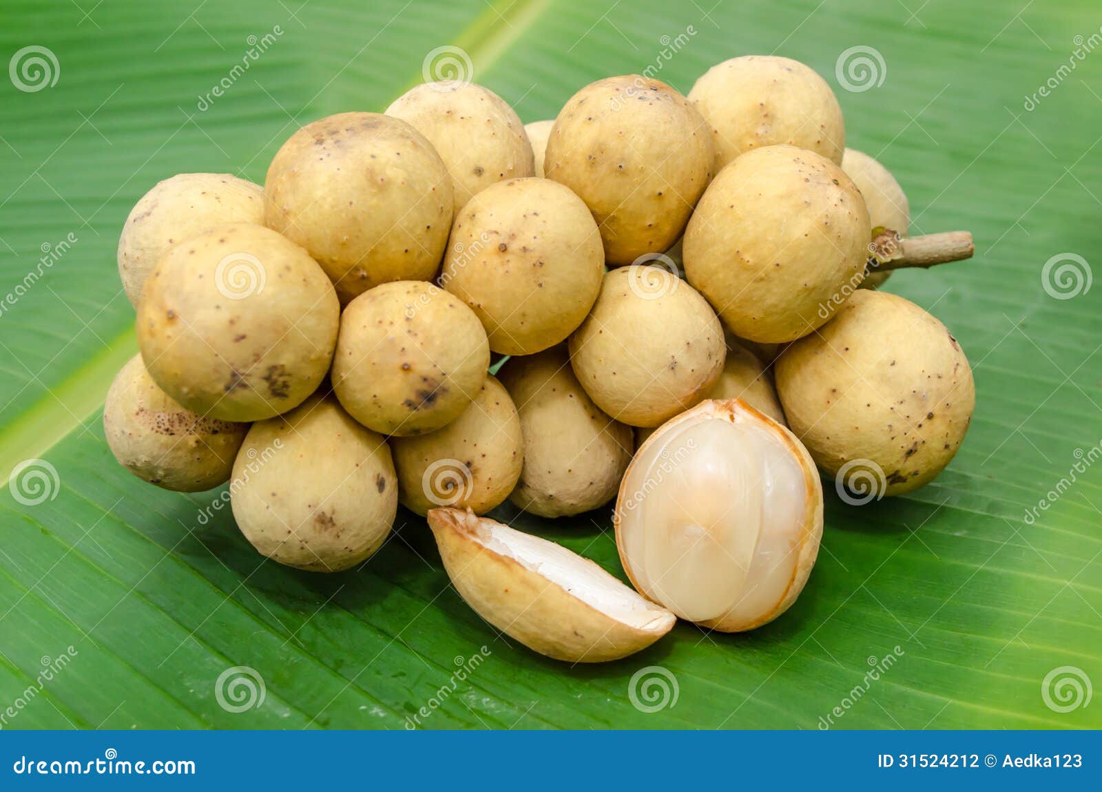 Longong. stock photo. Image of thailand, vitamins, wollongong - 31524212