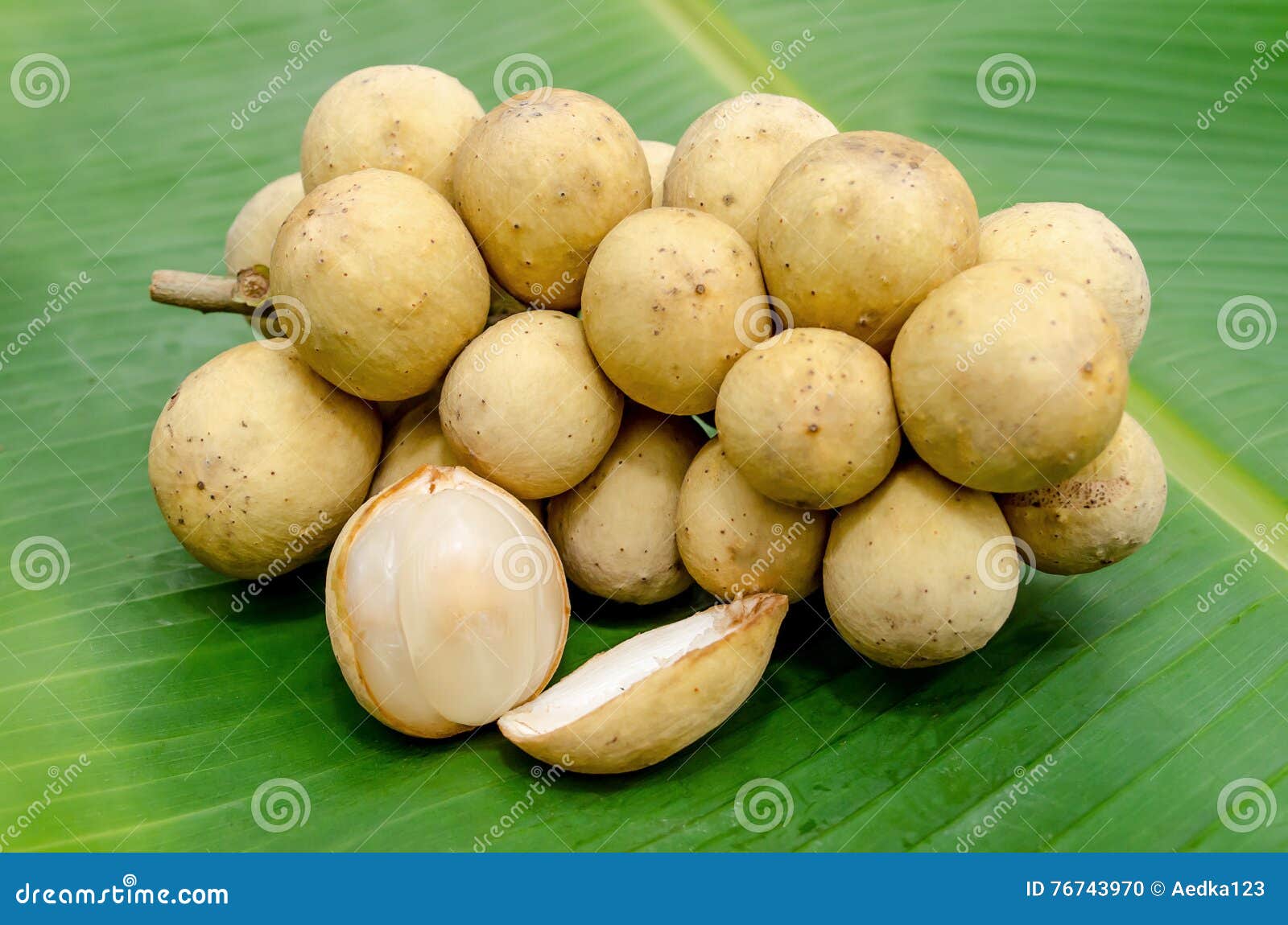 Longong. stock photo. Image of fruit, thailand, vitamins - 76743970