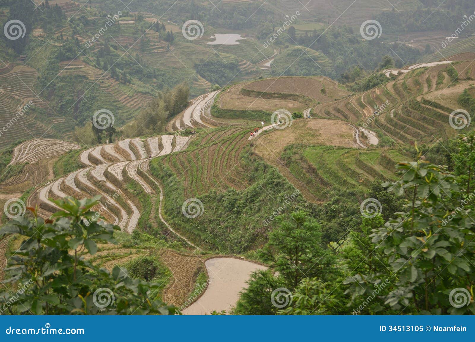Longsheng Paddy Fields in China Stock Image - Image of landscape ...