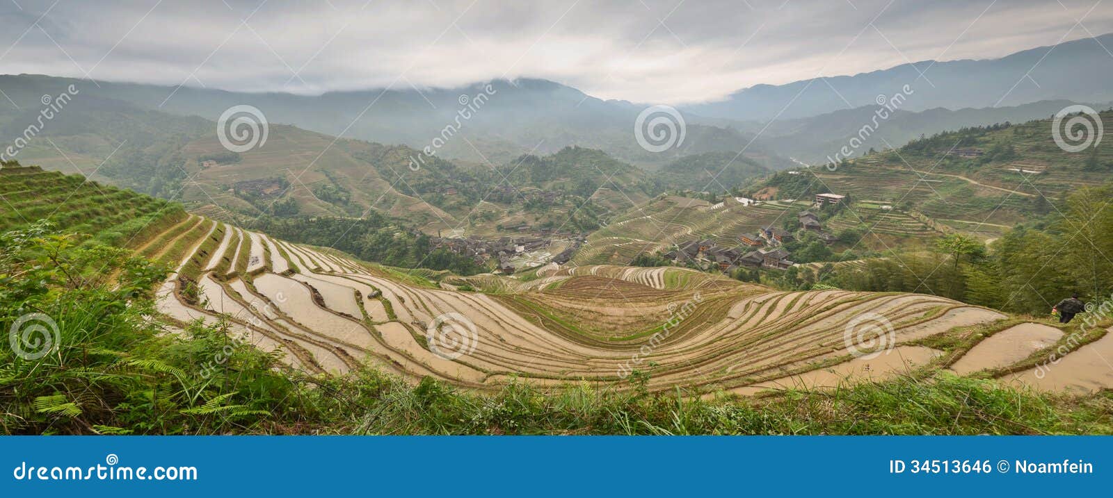 Paddy Fields In Khasi And Jaintia Hills Of Meghalaya Stock Photo ...