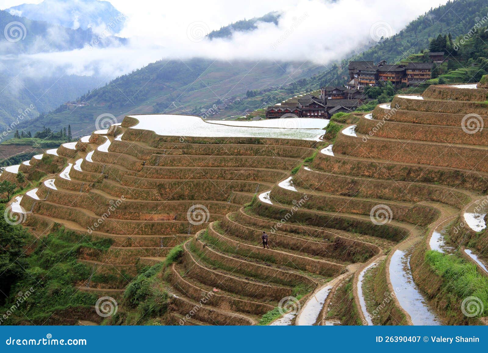 Longsheng Rice Terraces; China Stock Image - Image of organic, asia ...