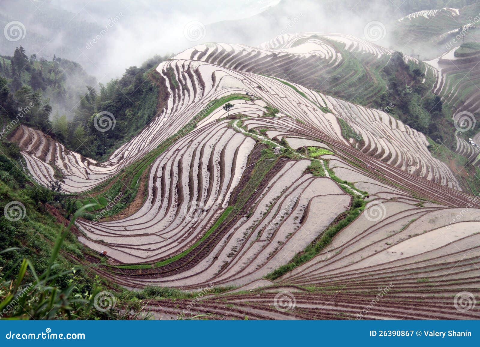 Longsheng Rice Terraces; China Stock Image - Image of cultivation ...