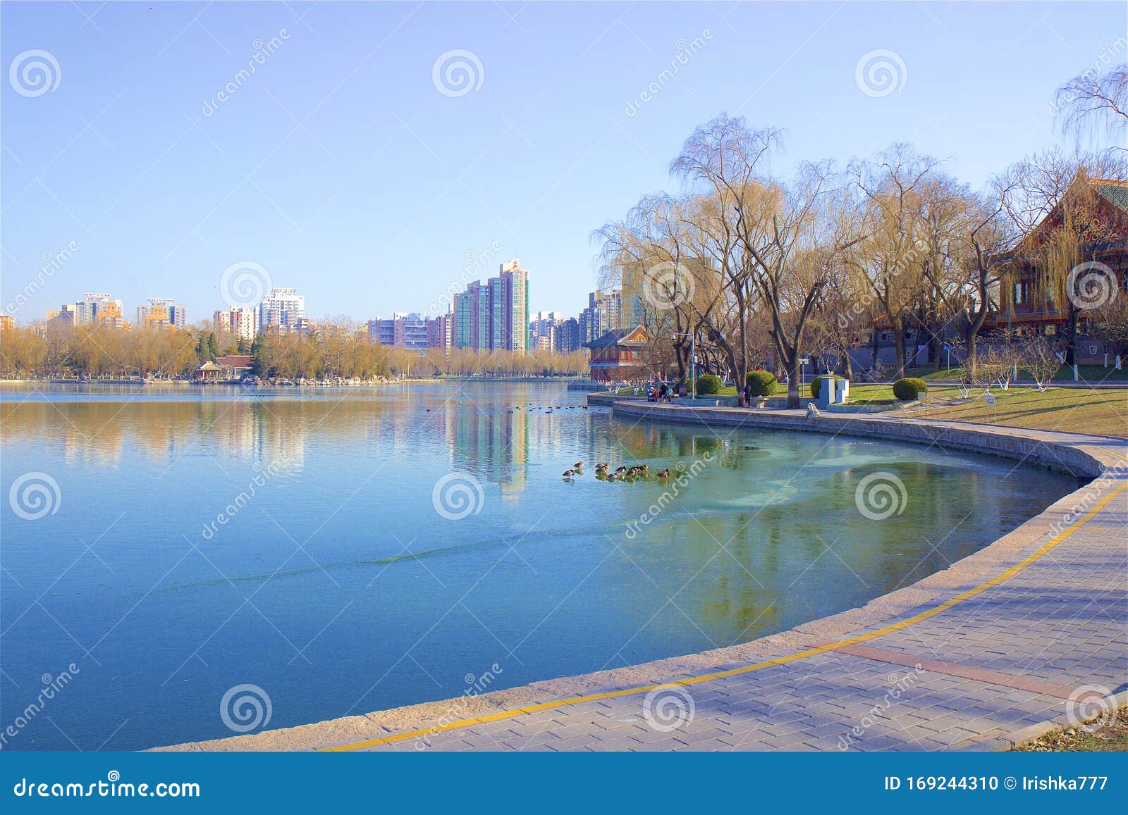 Longtan Lake park, Beijing stock photo. Image of yellow - 169244310