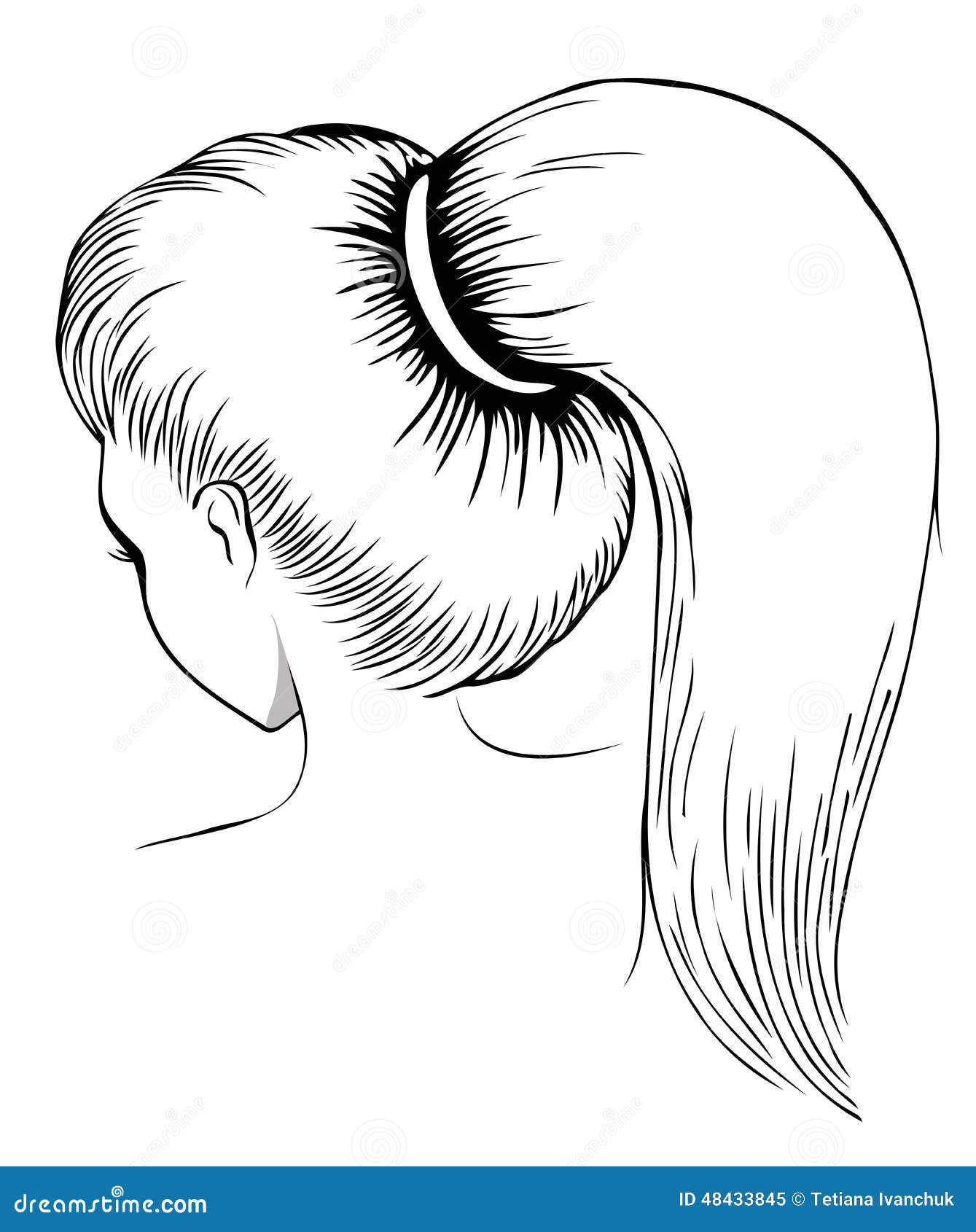 Longue Queue De Cheval - Schéma Illustration de Vecteur - Illustration ...