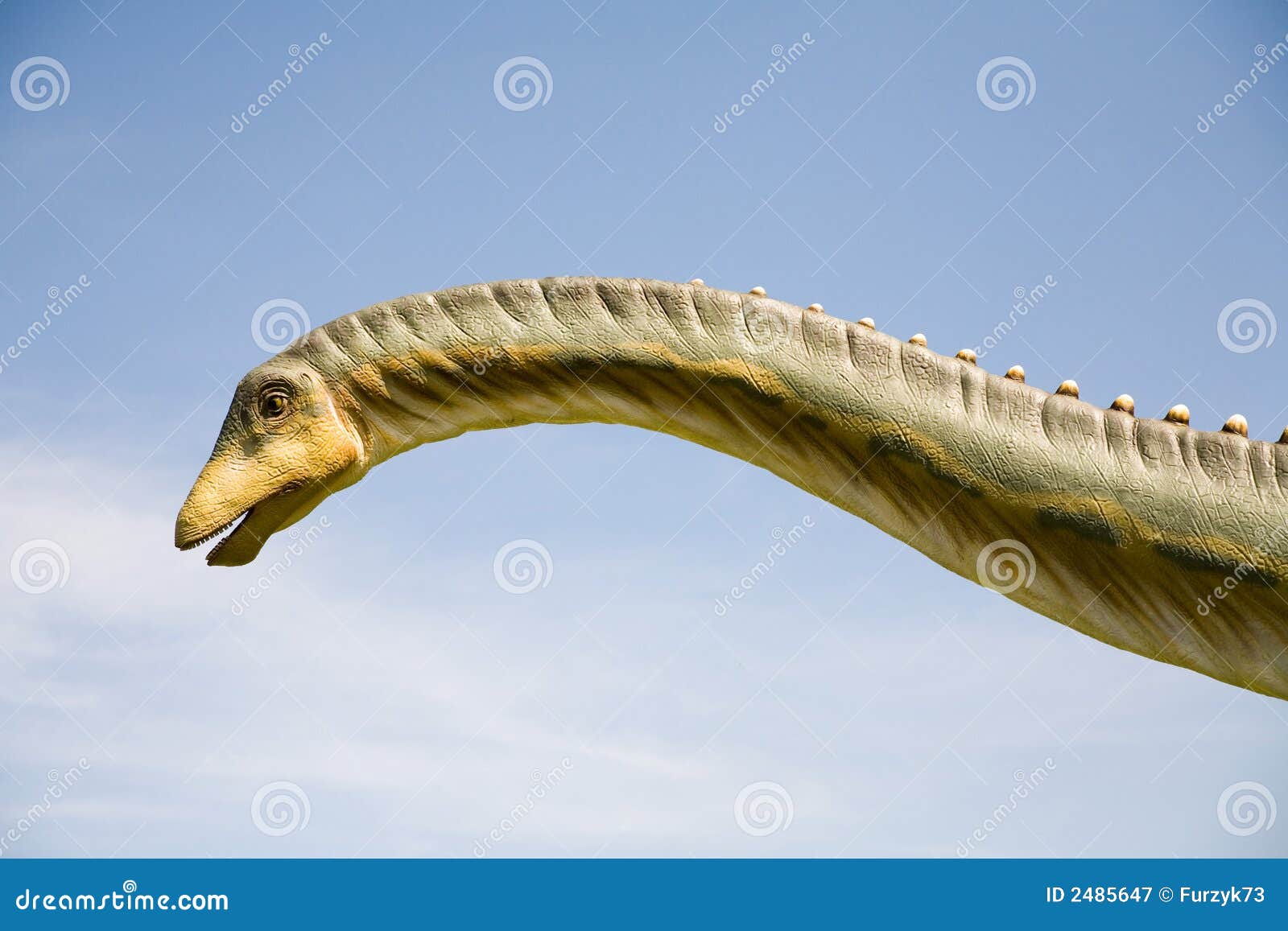Longushals van Diplodocus stock afbeelding. Image of groot - 2485647