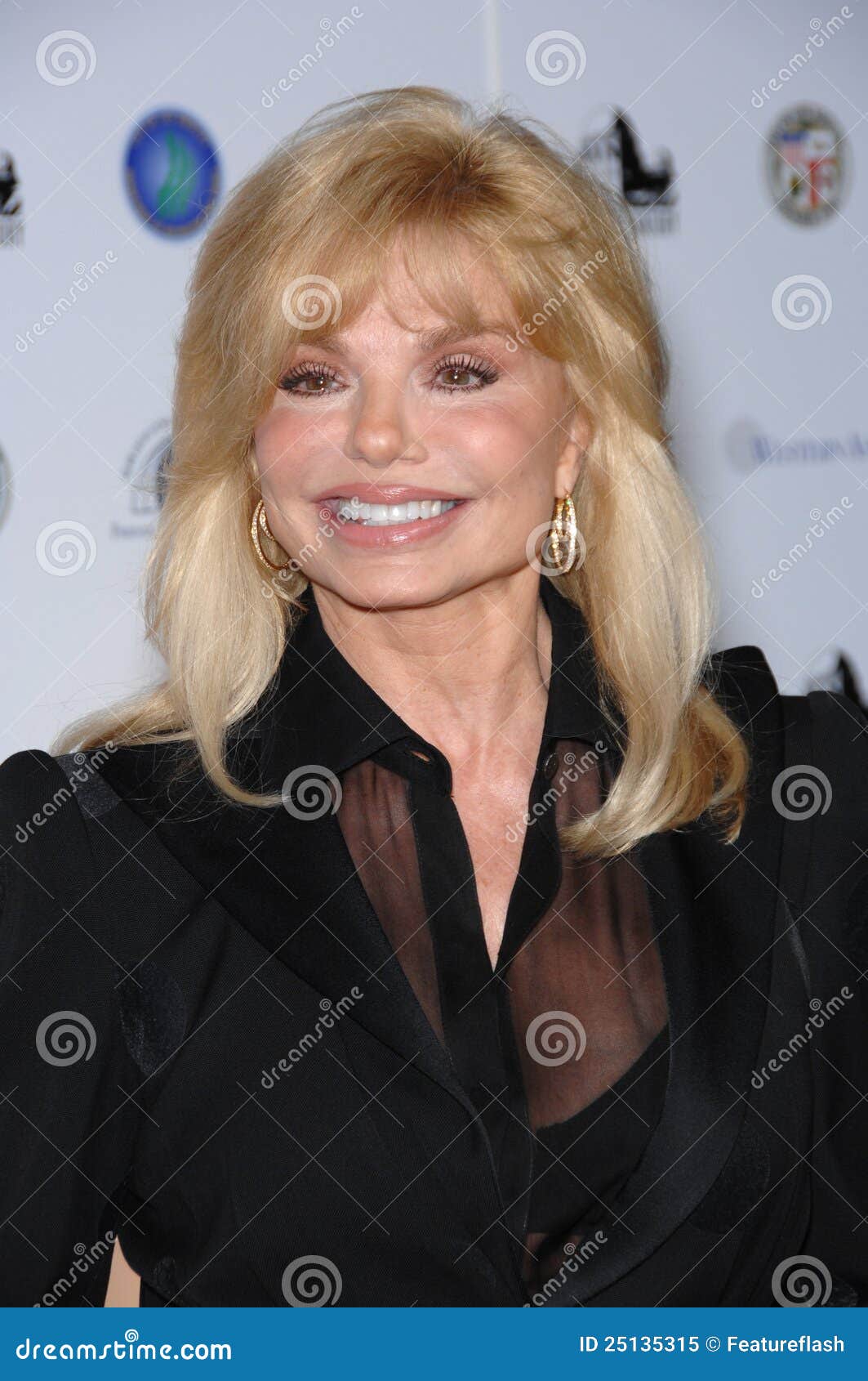 Loni Anderson editorial image. Image of observatory, anderson - 25135315